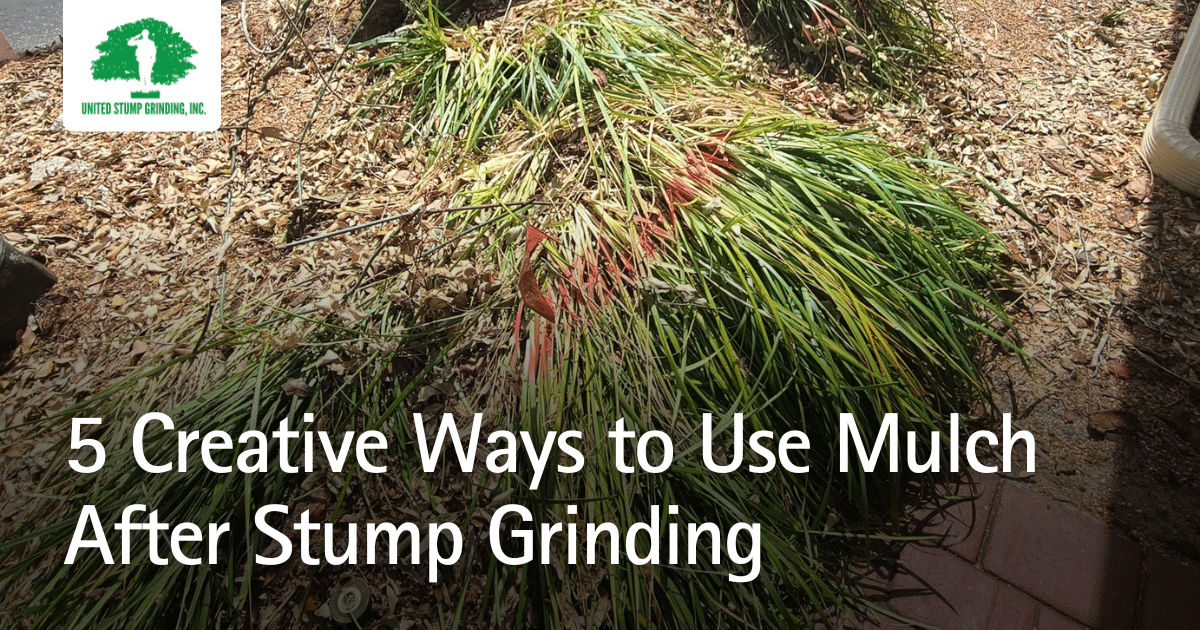 5 Creative Ways to Use Mulch After Stump Grinding